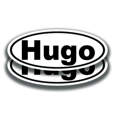HUGO NAME DECALs 2 Stickers Bogo Car Truck Bumper Window | eBay