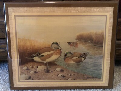 Vintage Lacqued Mallard Picture Waterfowl Duck Hunting 10.5x9 Ralph S ...