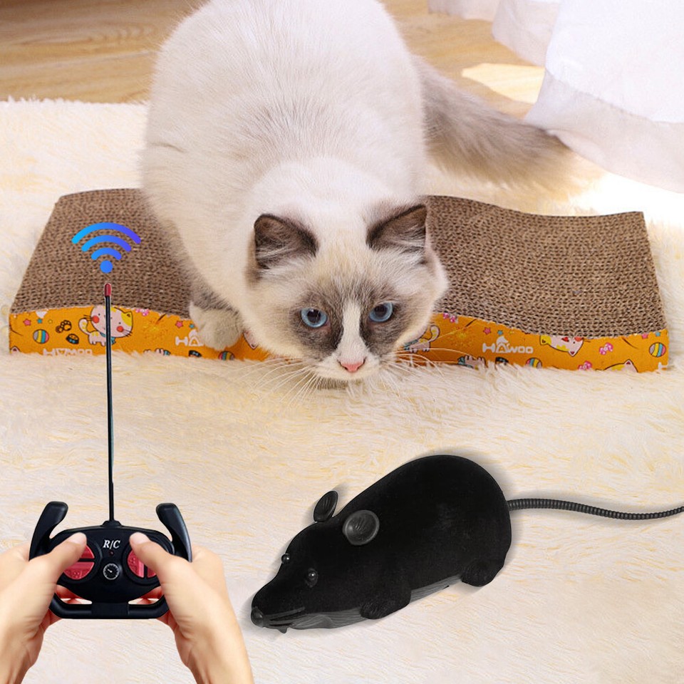 fr Robotic Mouse Cat Toy 4 Modes Electronic Rats Cat Toy Interactive ...