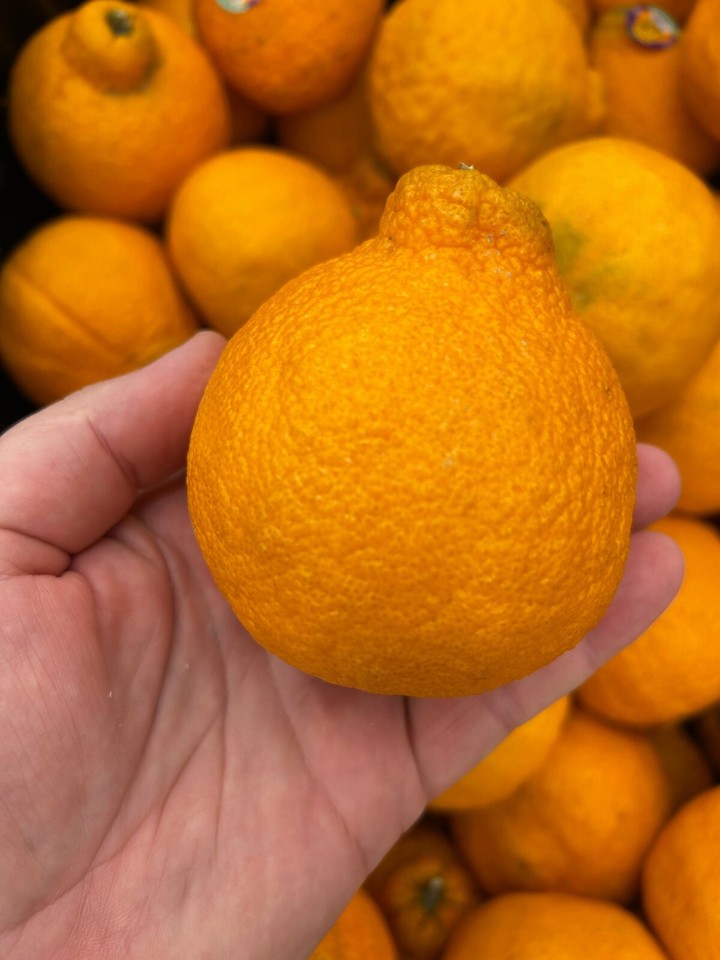 Sumo Citrus Mandarin Oranges (2 LBS) The Actual Fruit | eBay