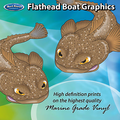 Flathead Graphics - set of 250mm Boat Graphics | eBay Australia