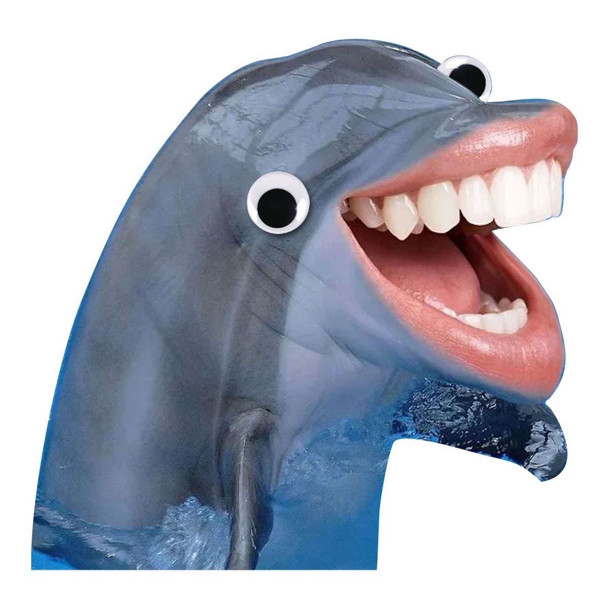 Memes Delfin Porfa#symphony #song #delfines #meme #delfinesrosados