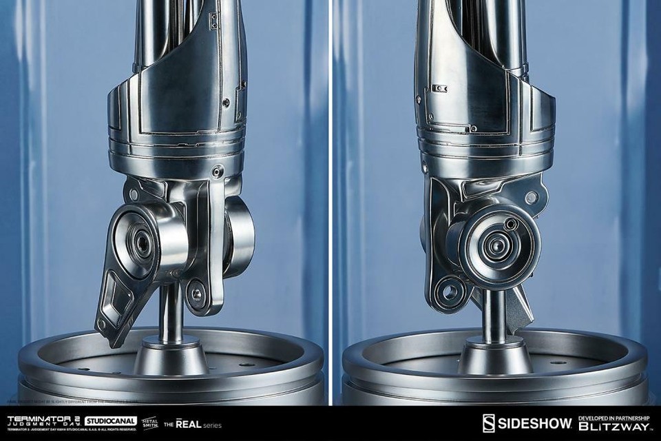 Terminator 2: Judgment Day T-800 Endoskeleton Arm and Brain Chip | eBay