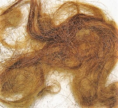 WOOLLY MAMMOTH REAL FUR HAIR WOOLY PERMAFROST BONE RUSSIAN WOOL ...