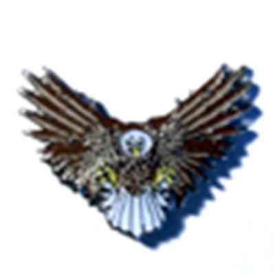 FLYING EAGLE HAT OR JACKET PIN pin#507 new jacket lapel metal bird ...