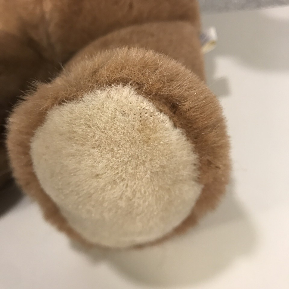 Vintage 1983 Trudy Teddy Bear NFL SEATTLE SEAHAWKS Team Plush Stuffed ...