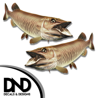 Tiger Musky - Fish Decal Fishing Tackle Box Bumper Sticker "5in SET" F ...