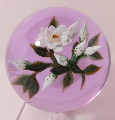 A Breathtaking Signed William Manson Jr Single White Wild Rose Glass ...