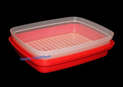 Tupperware Jr. Season Serve Container Marinator Red & Sheer NEW | eBay