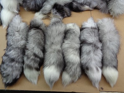#1 XXL Tanned Blue Frost Fox Tails/Crafts/Real USA Fur Tail/Harley ...