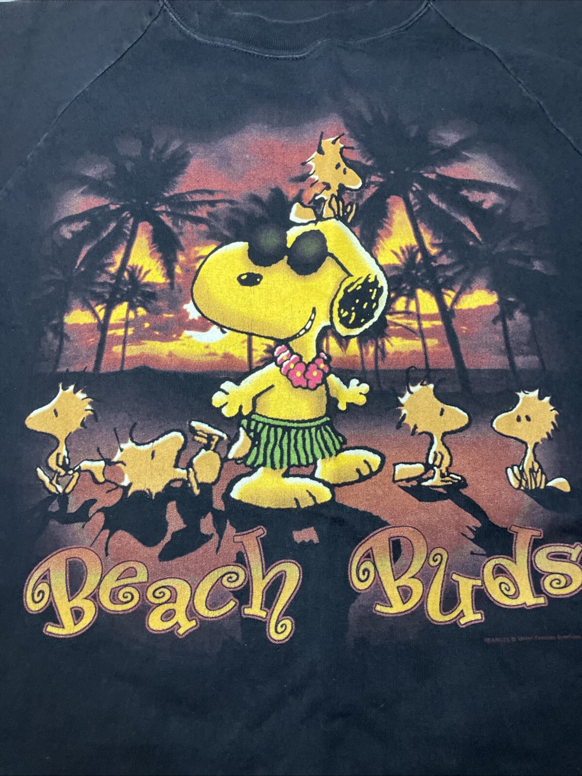 Vintage Snoopy The Peanuts Beach Buds Made In USA Sho… - Gem