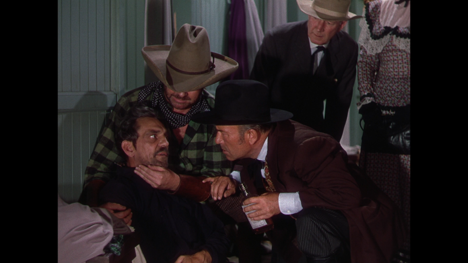 Paleface (1948) 1080P BLURAY WESTERN/COMEDY CLASSIC | eBay