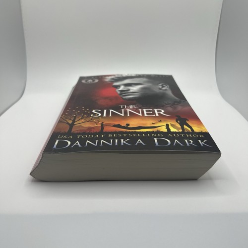 The Sinner by Dannika Dark Paperback Book | eBay