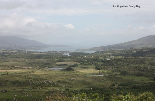 Neostar Combo Scanner and Photograph Copier Portable Film to Digital ...