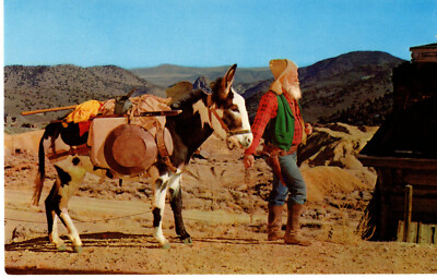 Old Nevada Prospector, Burro, Searching For Treasure Postcard | eBay