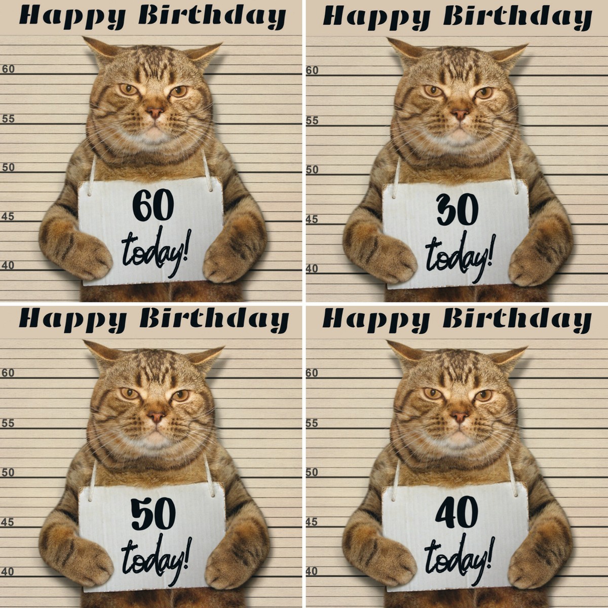 Funny Happy Birthday Cat Meme