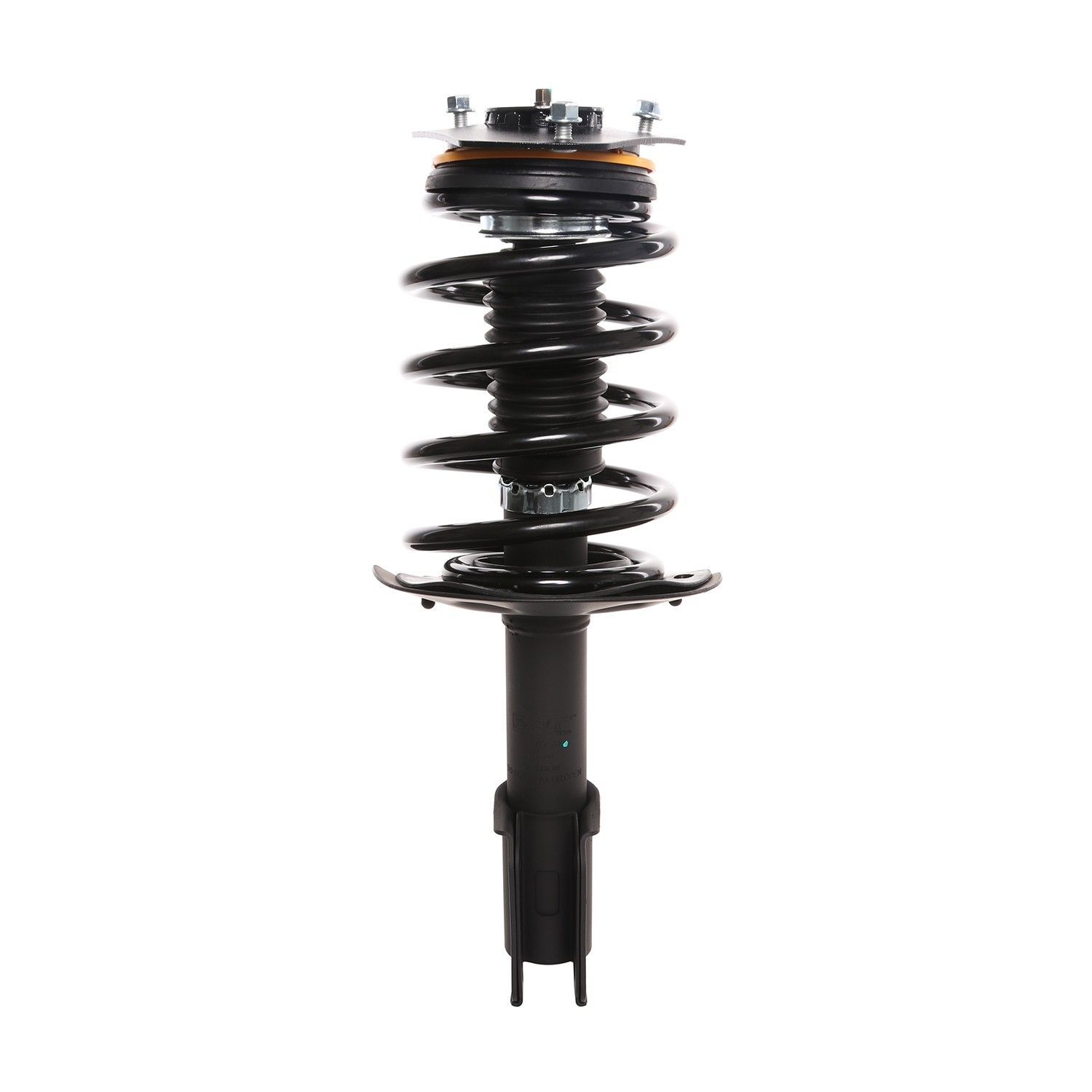 PRT+817059+Shocks+and+Struts+-+Suspension+Strut+and+Coil+Spring ...