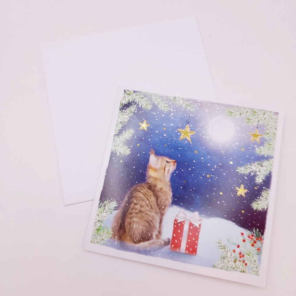 Cats Protection Christmas Cards Moonlight Cat 2024 pack of 10 with ...