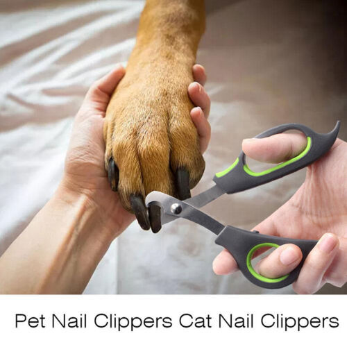 Pet Nail Clippers Claw Trimmer Small Animals Nail Grooming Clipper For ...