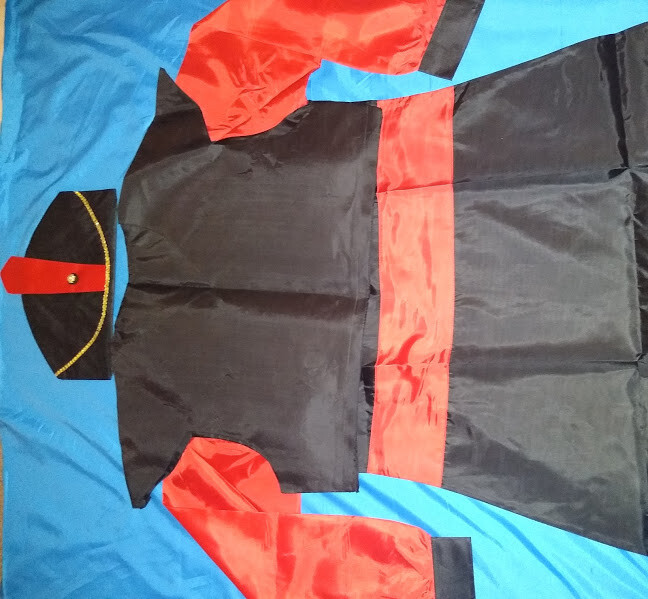 Iago costume for Aladdin's play adults and children | eBay UK