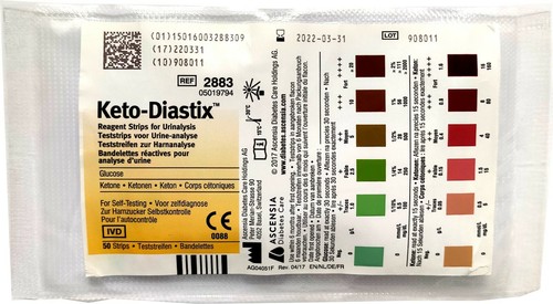 Bayer Diastix Glucose & Urine Ketostix Reagent Test Strips Keto Ketone ...