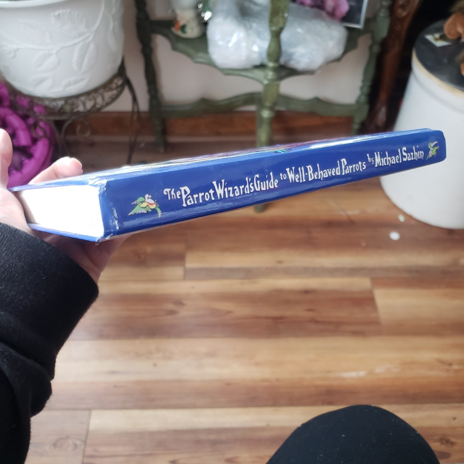 The Parrot Wizard's Guide to WellBehaved Parrots by Michael Sazhin ...