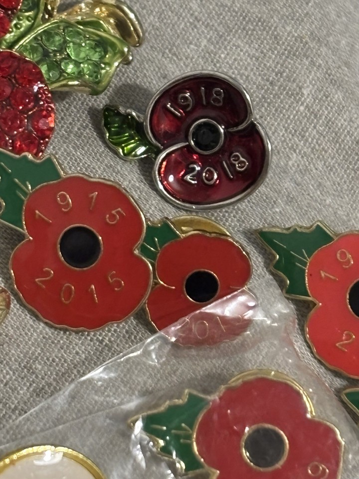 SMALL ENAMEL POPPY BADGES x 13 JOB LOT 2013-2021 | eBay UK