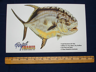 PERMIT FISH DECAL STICKER DON RAY | eBay