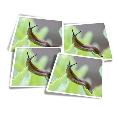 4x Vinyl Stickers Garden Slug Wildlife Nature Bug #52882 | eBay UK