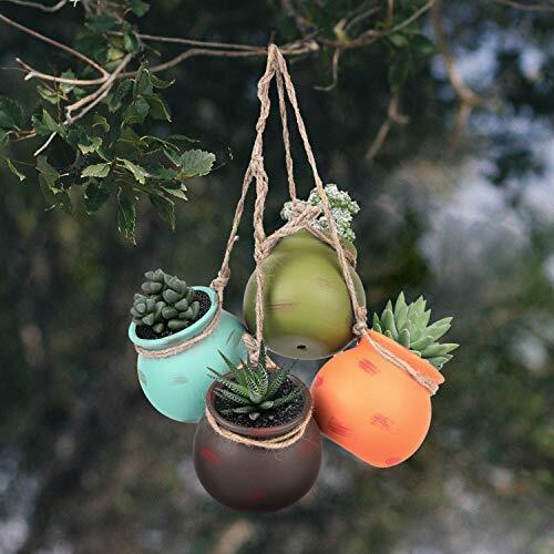 4Pack Hanging Ceramic Mini Flower Planters Wall/Ceiling Mount Dangling ...