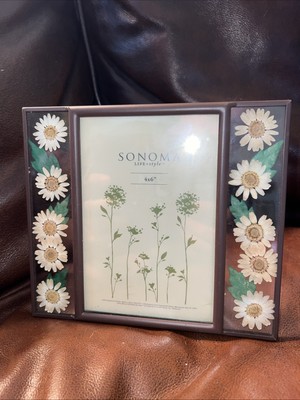 Sonoma Pressed Daisies 4”x6” Picture Frame Freestanding! Gorgeous! | eBay