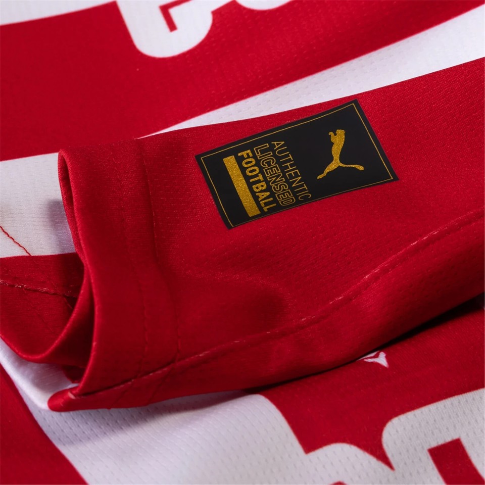 L Reg Fit Jersey Chivas del Guadalajara Home 24 - Puma - Logo ...