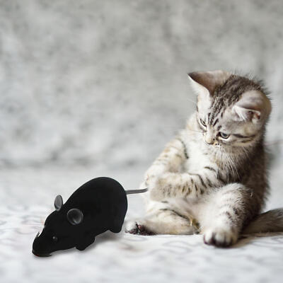 Remote Control Mouse Electronic Motion/Moving Toys For Cats Squeaky ...