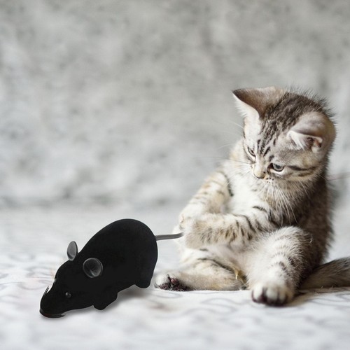 Remote Control Mouse Electronic Motion/Moving Toys For Cats Squeaky ...