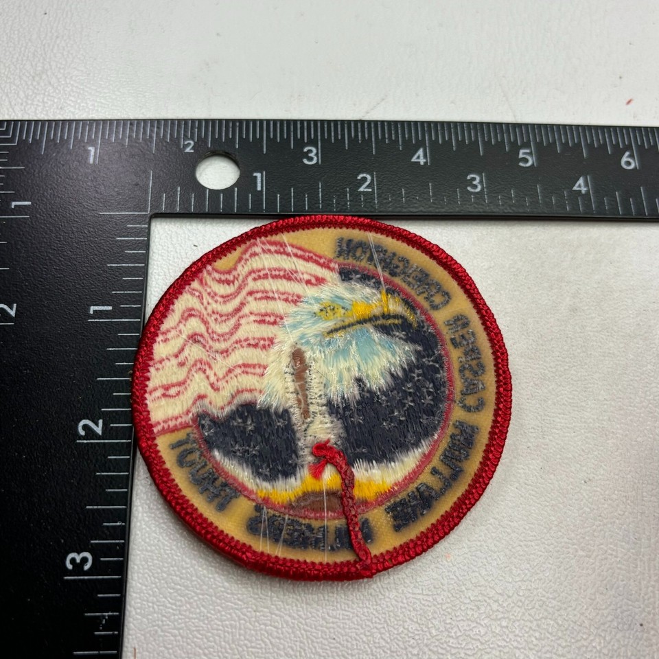 NASA Space Shuttle COLUMBIA Mission STS-36 Astronaut Patch (Astronauts ...