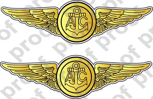 STICKER USN NAVY AIRCREW WINGS | eBay
