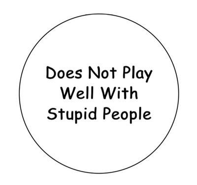 Does Not Play Well With Stupid People 2.25” Pinback Button Pin Badge | eBay