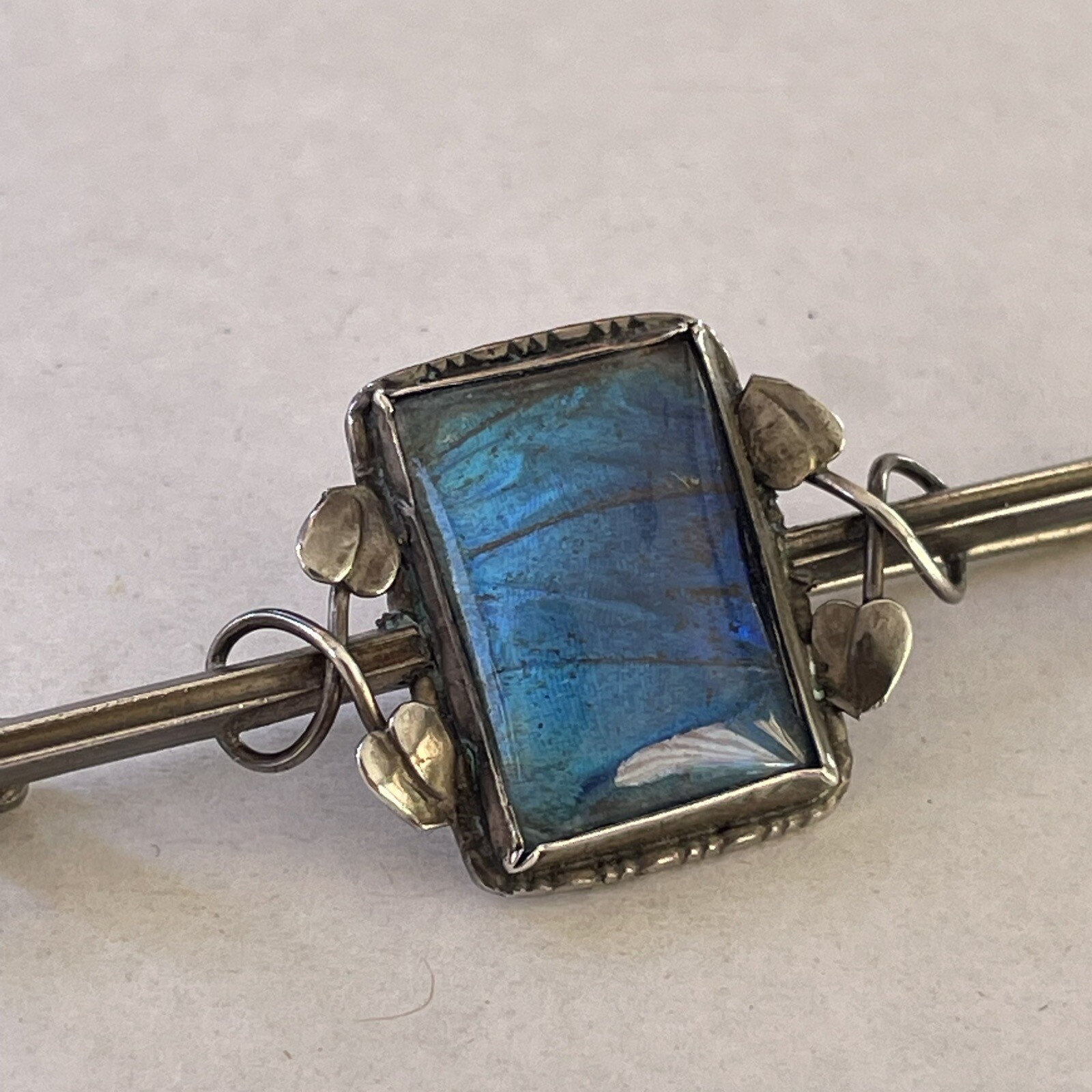 Antique Thomas Mott Sterling Silver 925 Morpho Butterfly Wing Brooch ...