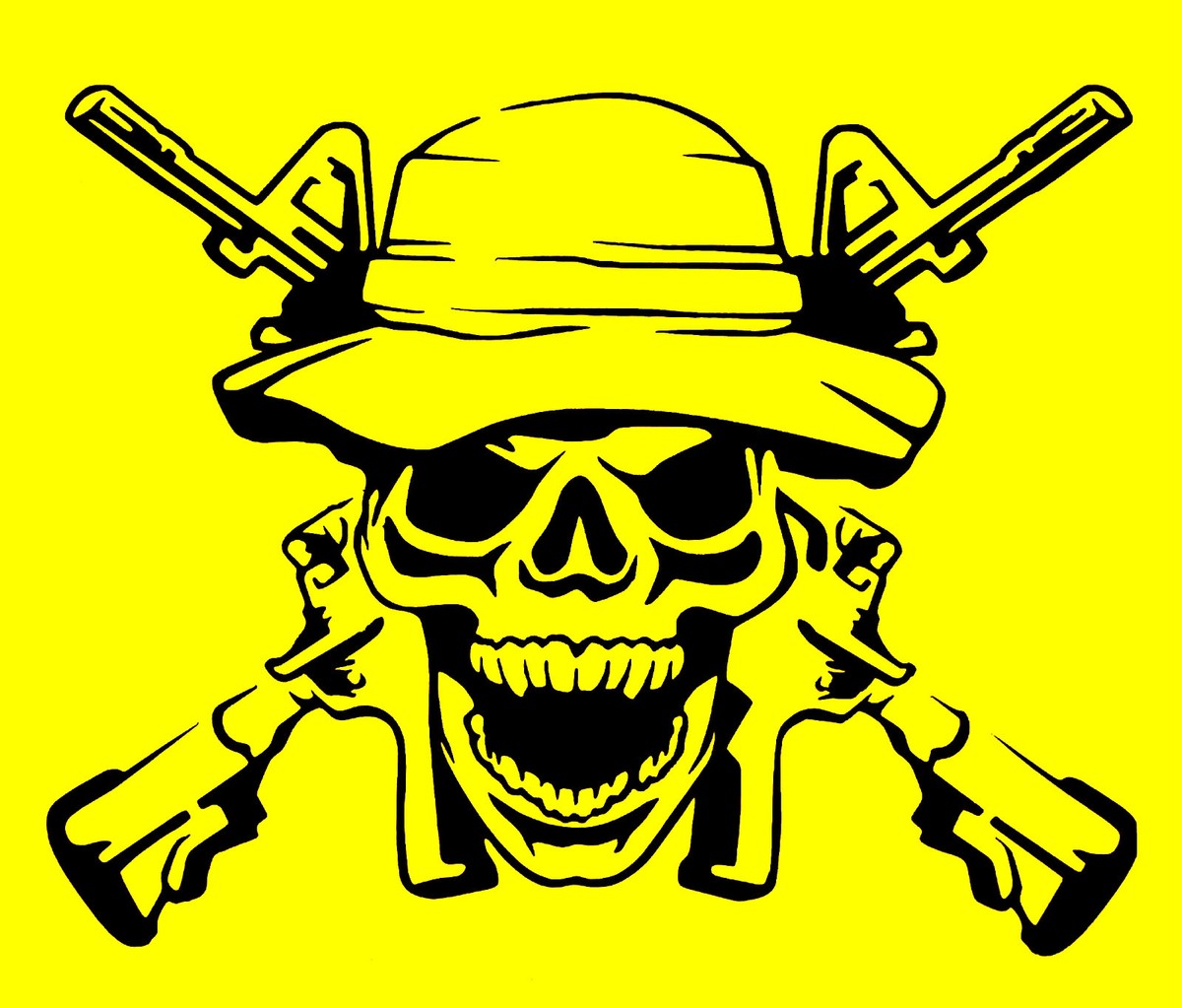 Military Skull Vinyl Decal