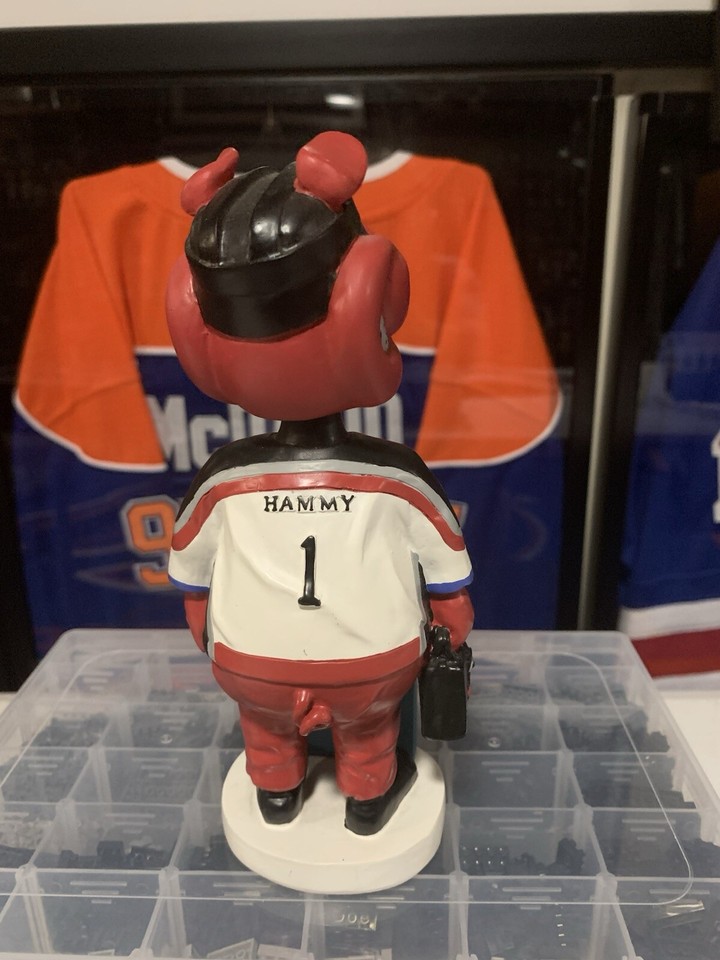 Hamilton E. Hog Hammy Rockford Icehogs Mascot SGA Rockford Icehogs ...