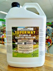 Superway Dicamba M Selective Herbicide Weed Killer 5 Litre - Equiv to ...