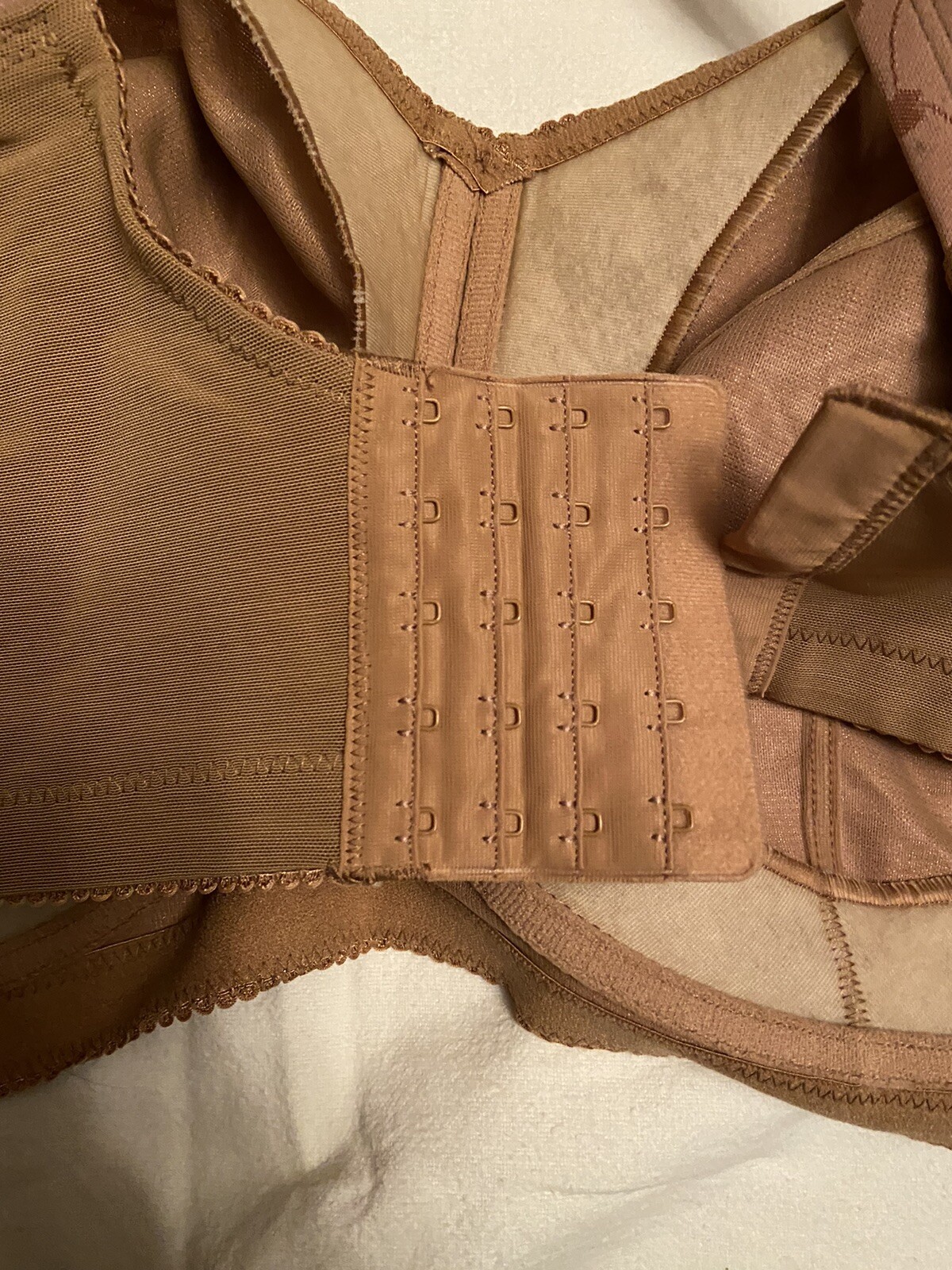 ELILA Mocha Jacquard Back close Wireless Softcup Bra, US 52F 1305 ...