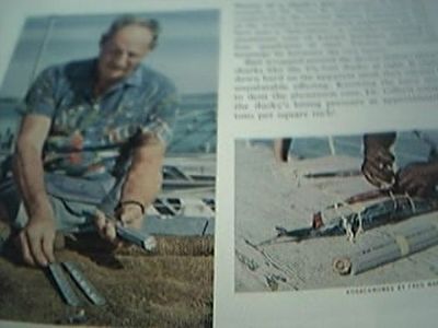 ephemera 1968 picture dr perry w gilbert lerner marine laboratory | eBay UK