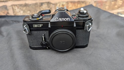 Canon EF Body excellent condition | eBay