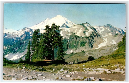 Mount Baker, WA Postcard- MOUNT BAKER NATIONAL FOREST | eBay