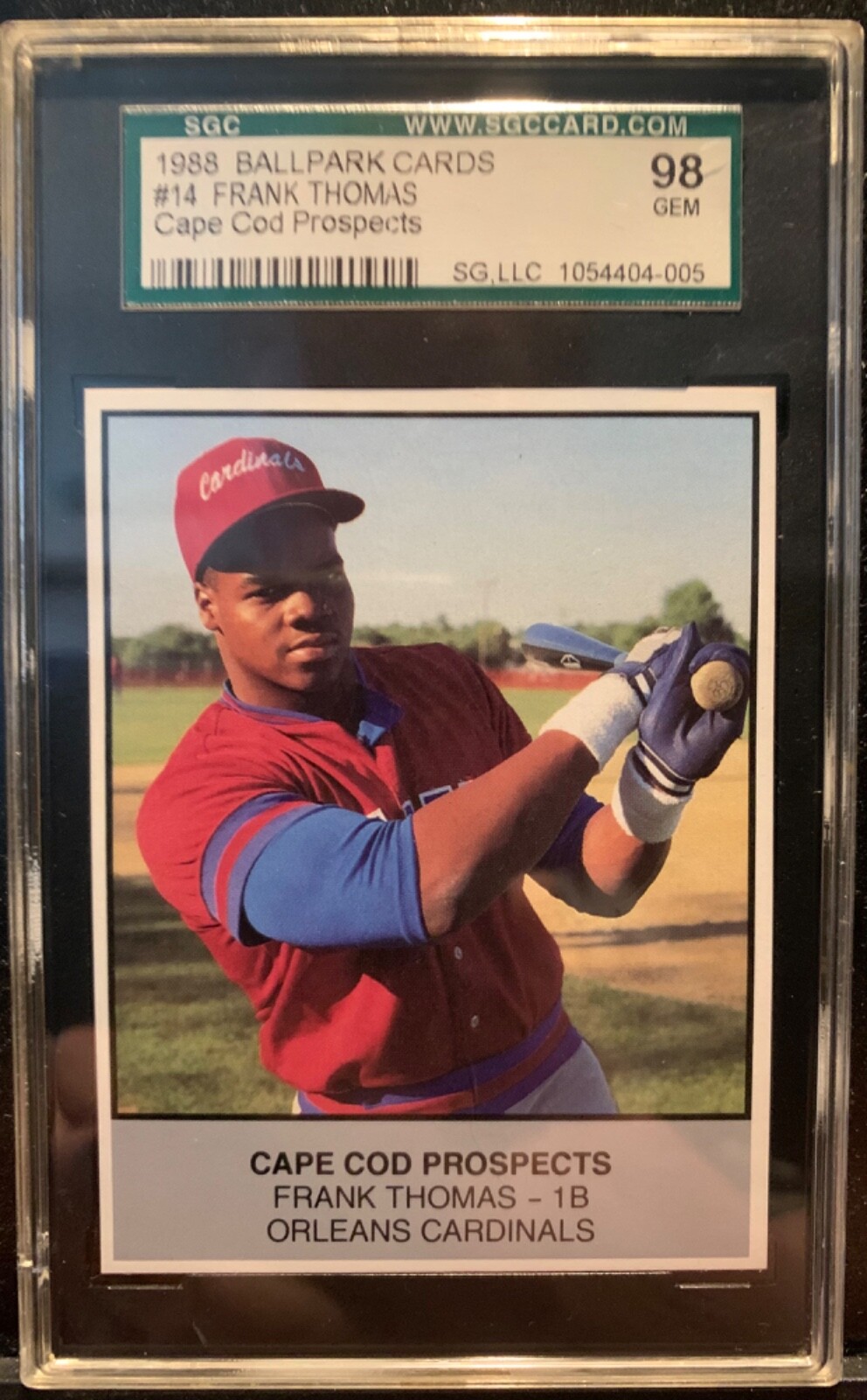 1988 CAPE COD FRANK THOMAS BGS 9.5 GEM | gardenroute.gov.za