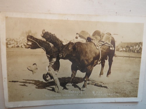 ANTIQUE 1913 PHOTOGRAPHIC POSTCARD-SHARKEY THE FAMOUS BUCKING BULL | eBay