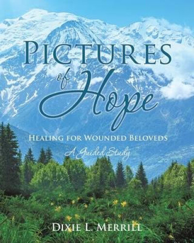 Pictures of Hope by Dixie L. Merrill 9781498471084 | eBay