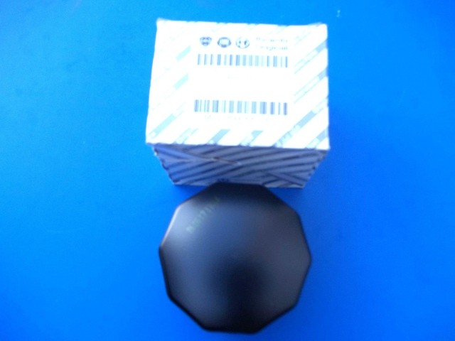 Fiat 71779555 online kaufen | eBay