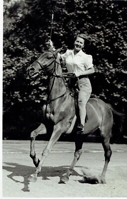 P42-PHOTOGRAPHIE ORIGINALE-CHEVAL AU PAS-CAVALIER-1947 | eBay